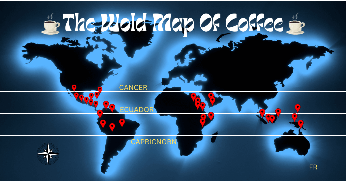 Coffee Bean Origins: What Every Coffee Lover Should Know